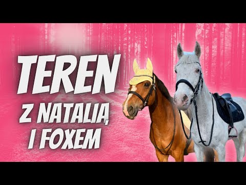 TEREN Z NATALIĄ I FOXEM - GALOP PO ŚCIERNISKU, SKOKI PRZEZ KŁODĘ, KONIE NAS PONIOSŁY 🤠