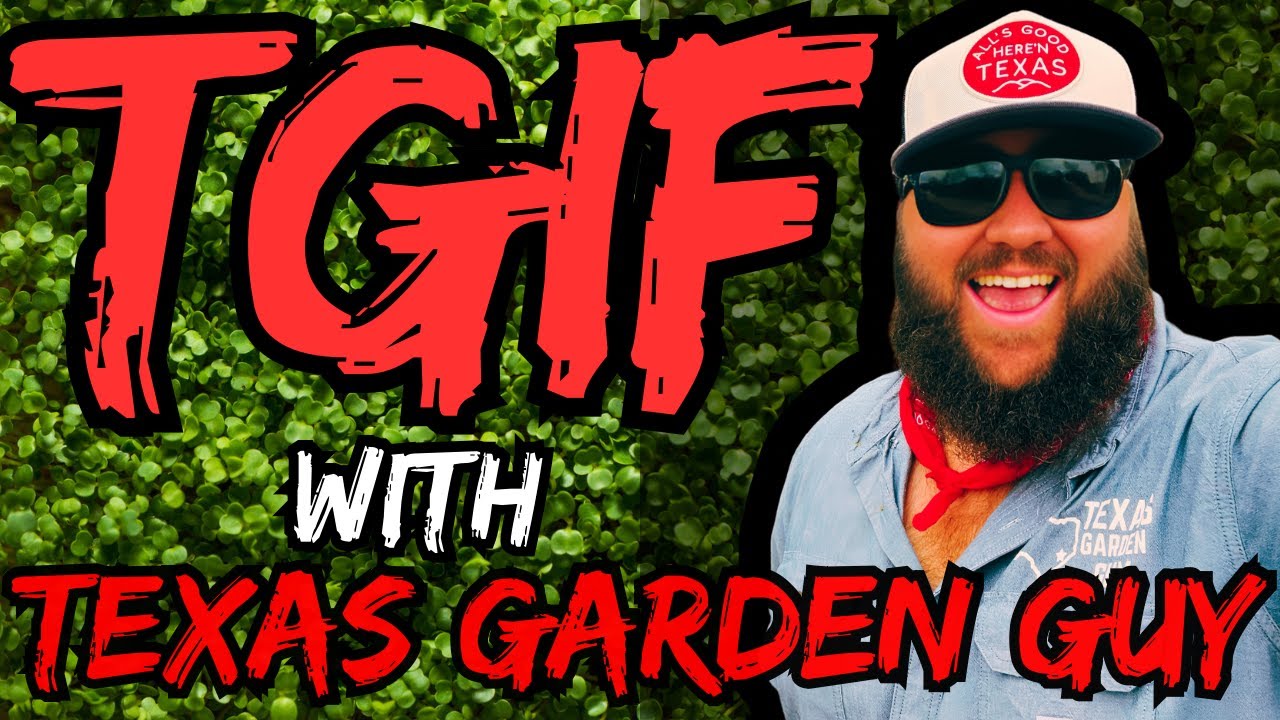 TGIF with Texas Garden Guy 9.6.2024 - YouTube