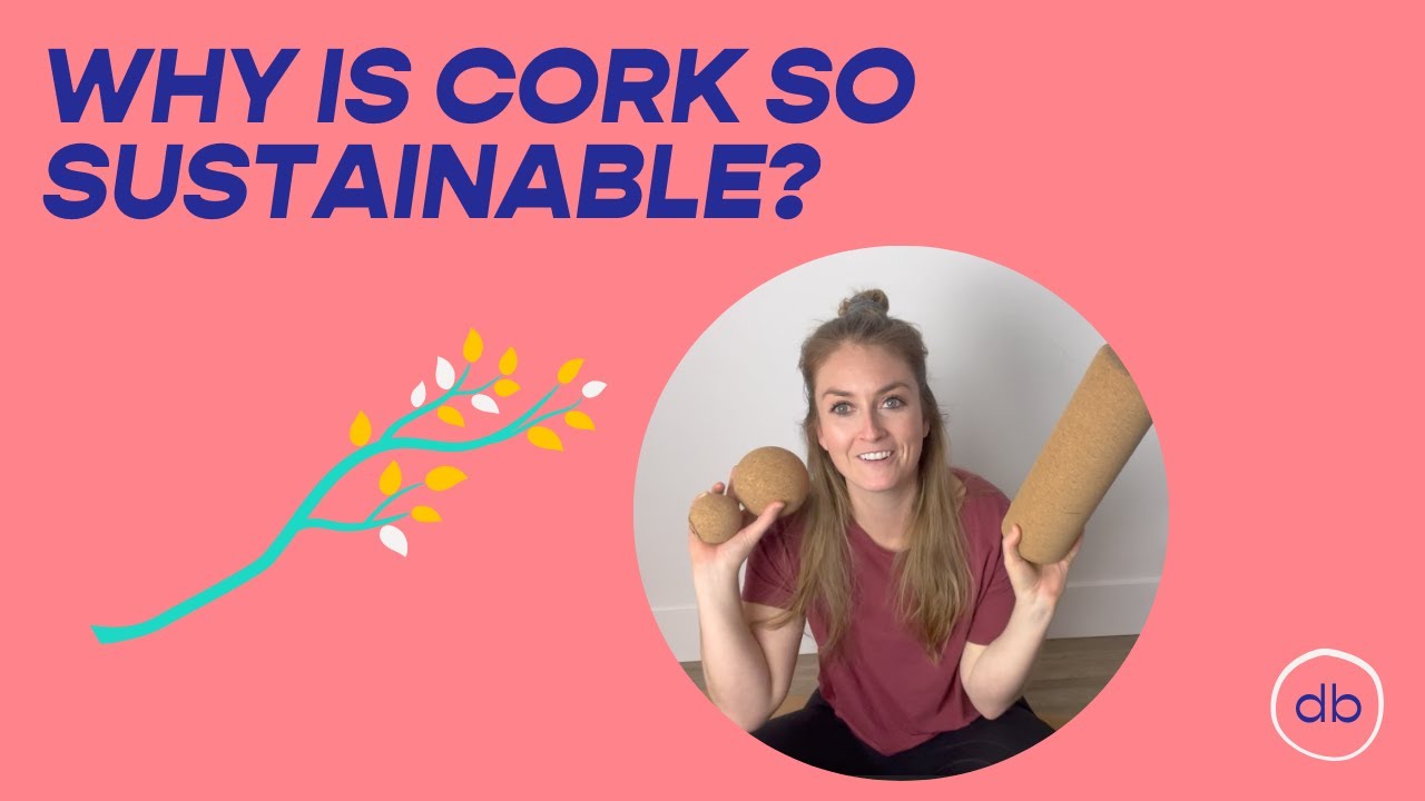 Why is cork such a sustainable material? - YouTube