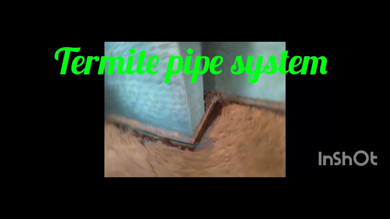 Termite Pipe Reticulation #termitepipesystem #pestcontrolservice - YouTube