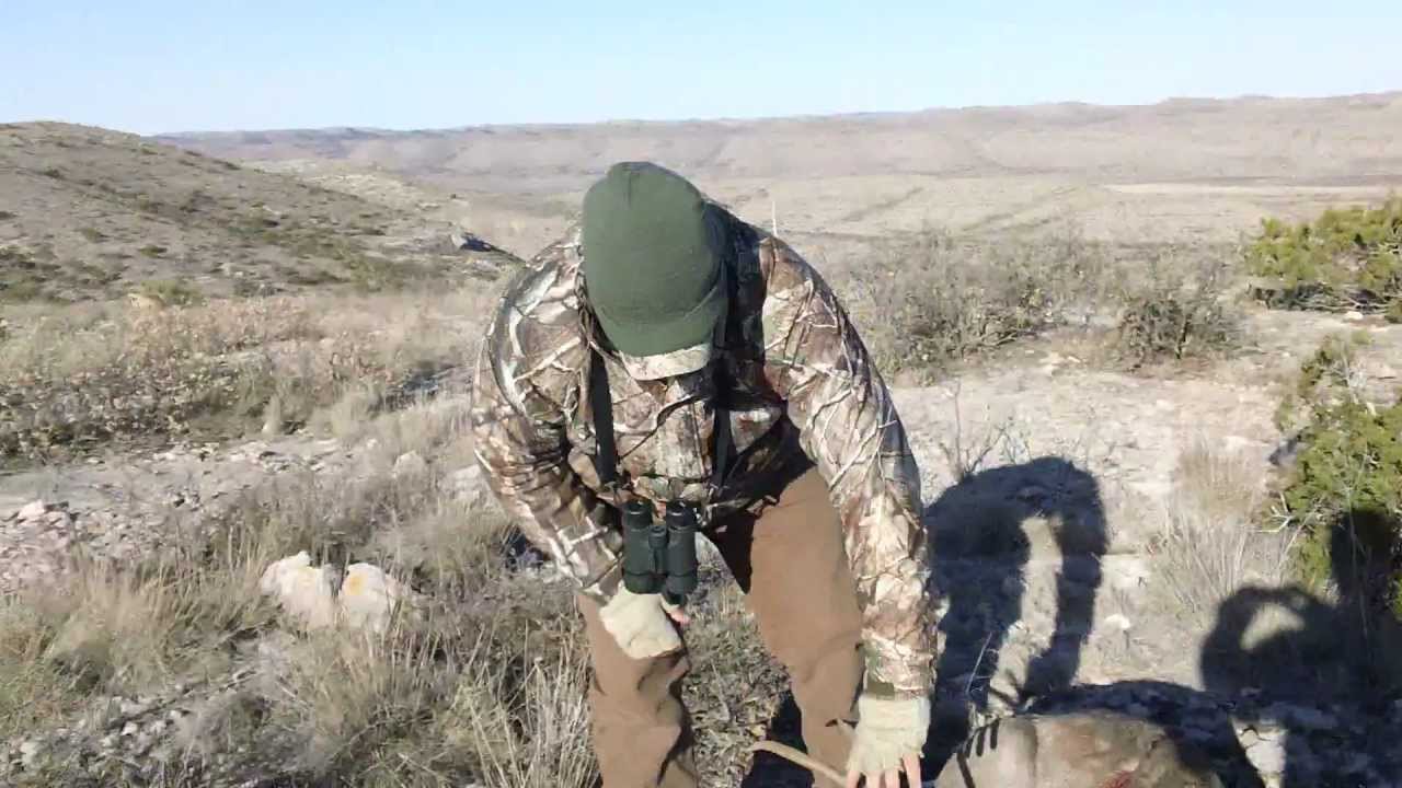 Longfellow Ranch, TX. Mule Deer - YouTube