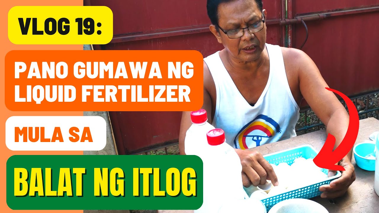 Vlog 19: Paano gumawa ng liquid fertilizer mula sa balat ng itlog - YouTube