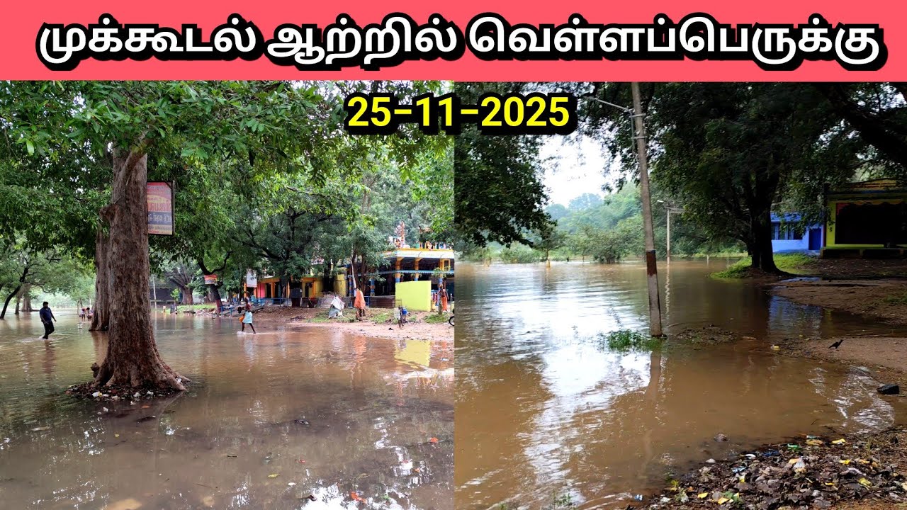 Mukkudal - ஆற்றில் வெள்ளப்பெருக்கு #river #riverflood #thamirabarani # ...