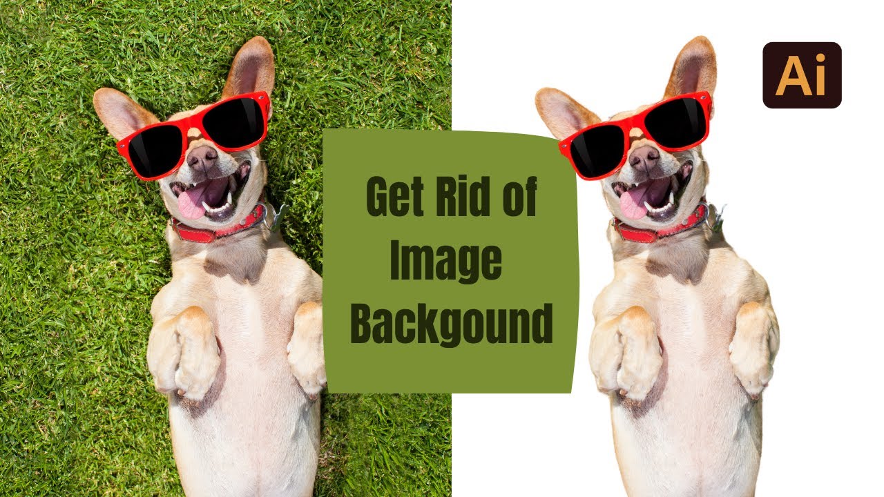 Use This Tool to Get Rid of Image Background in Adobe Illustrator - YouTube
