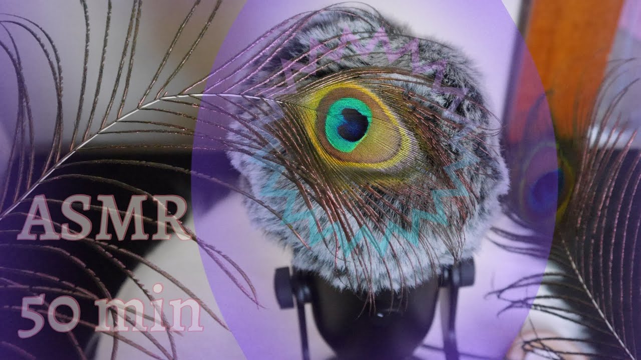 ASMR Sanfte Federberührung - 50 Minuten //ASMR Gentle Feather Touch ...