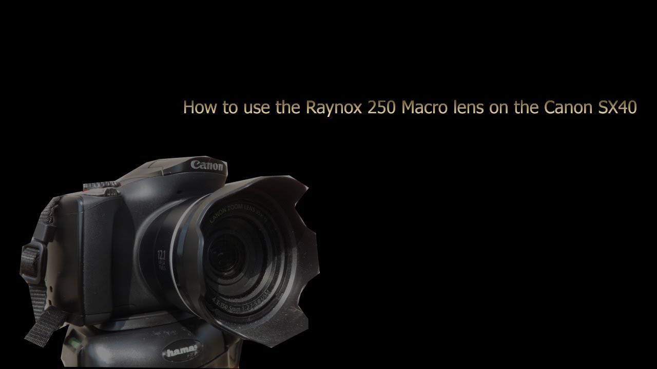 Using the Raynox 250 lens with Canon SX40 - YouTube