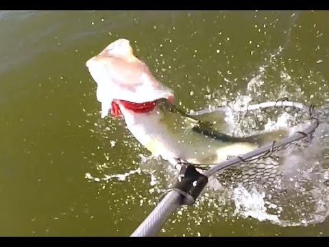 Lay Lake Bass Fishing - We sunk the boat! - YouTube