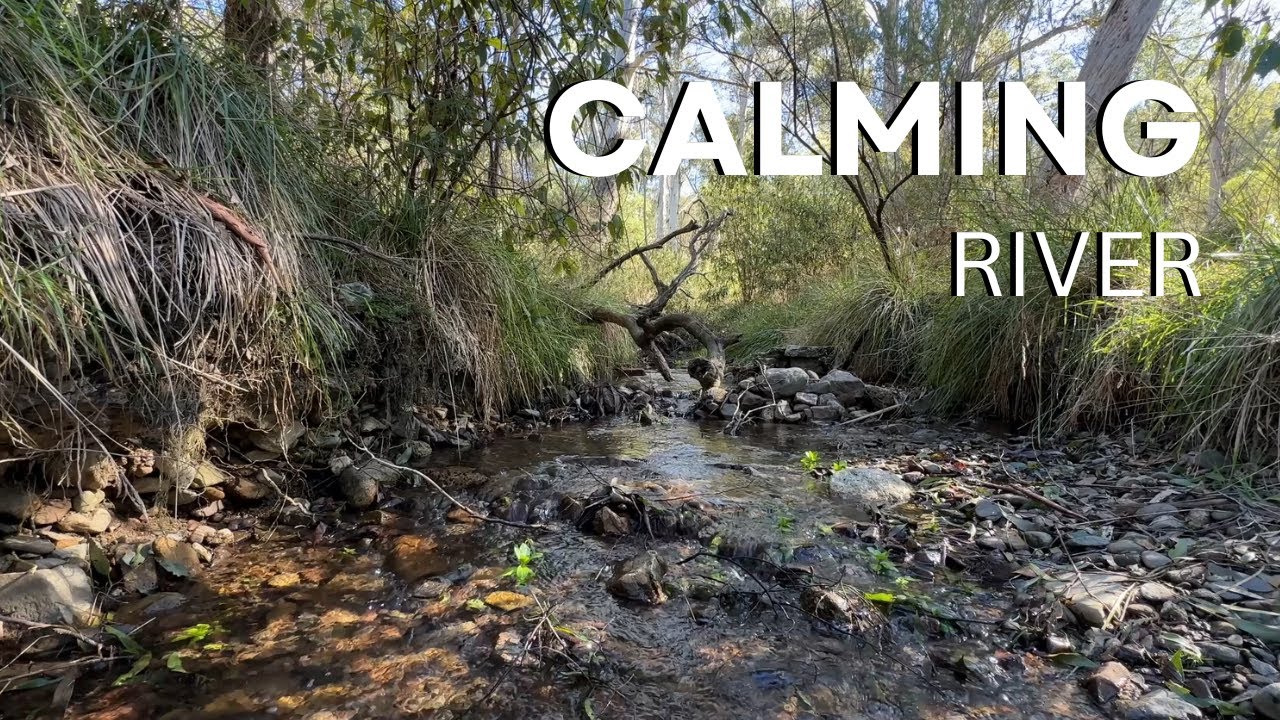 Relaxing Creek Sound | Sleep soundly | Enjoy 10 Hours of Continuous ...
