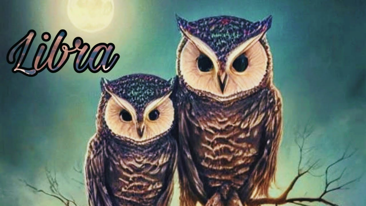 Libra ♎️ THE WEIRDEST THING KEPT HAPPENING!!! THESE TWO OWLS ARE 🦉🦉 ...