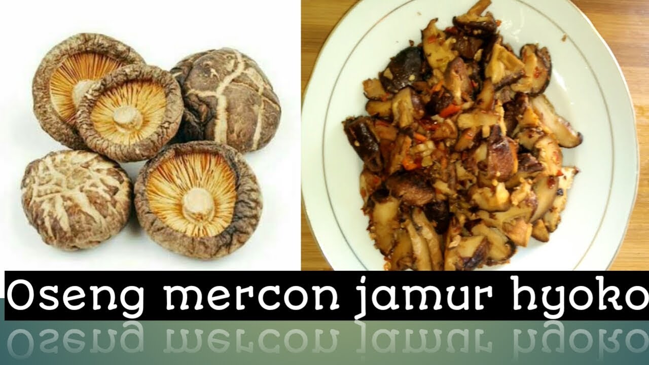 Oseng mercon jamur hyoko - YouTube