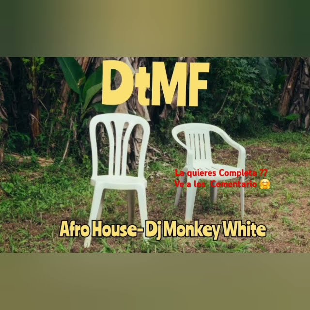 DtMF - Bad Bunny (Afro House ) - YouTube