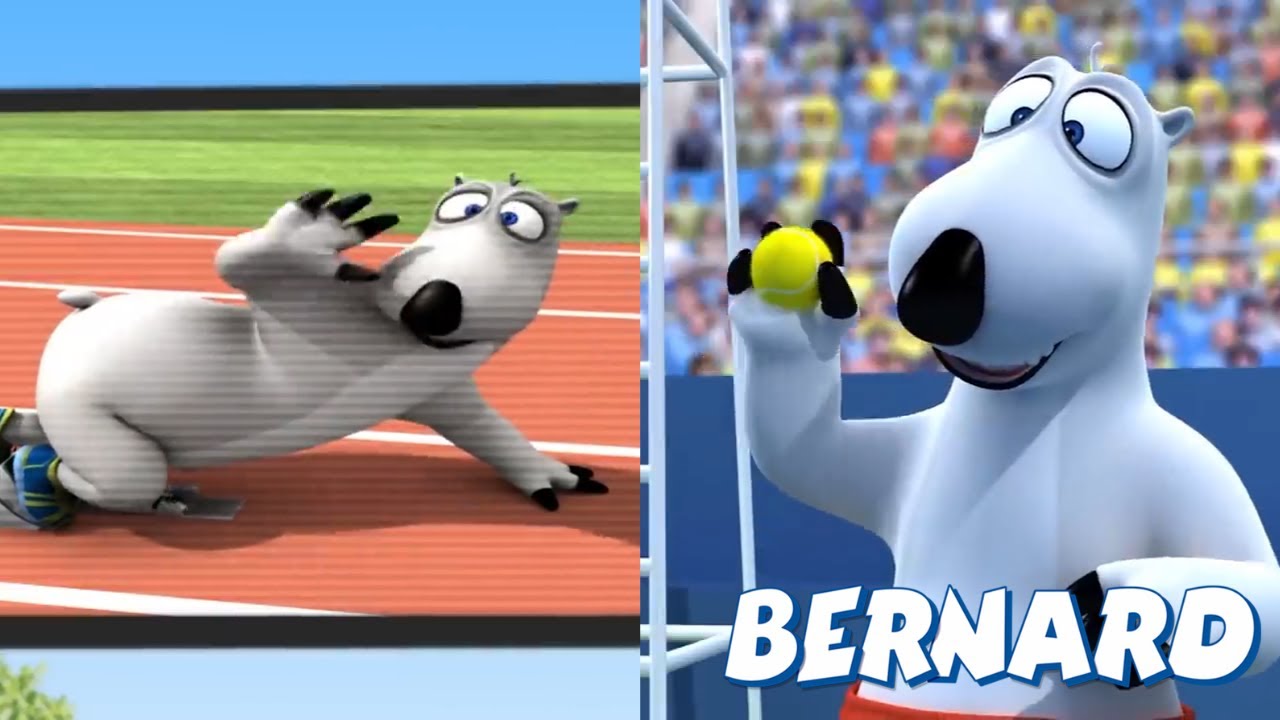 🐻‍ ️ BERNARD in the OLYMPIC GAMES | Full Episodes | VIDEOS and CARTOONS ...