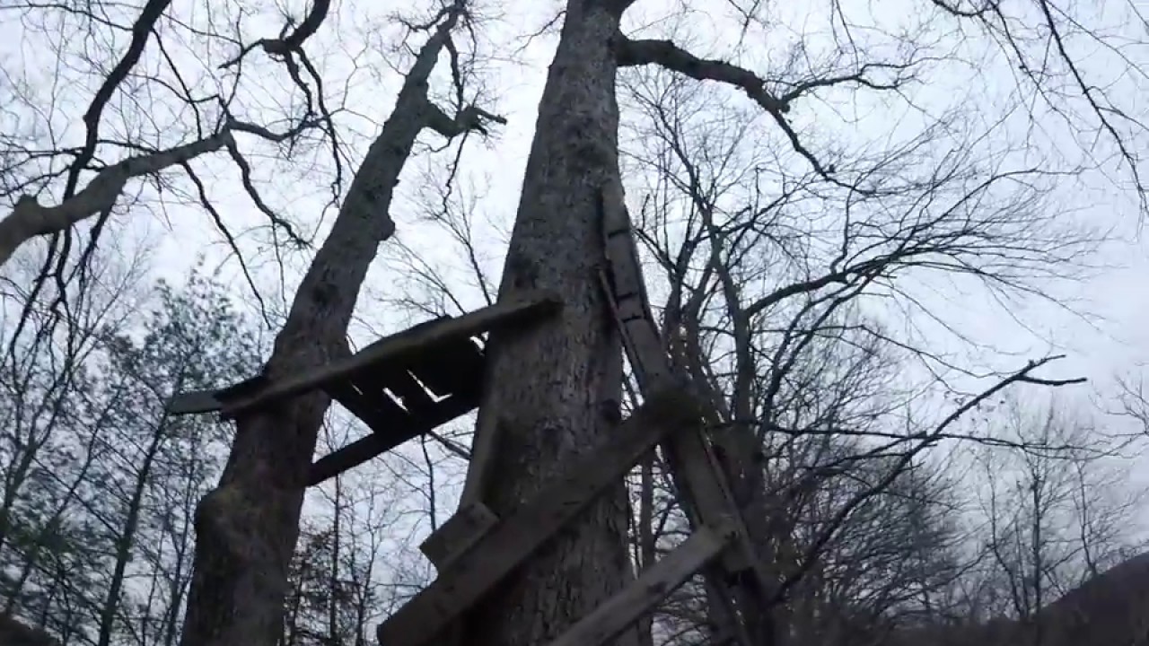 Found an abandoned tree house *so scary* - YouTube