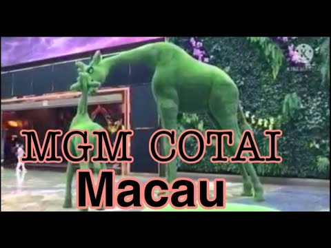 MGM Spectacle Cotai| MACAU 2021| yel bloum vlogs - YouTube