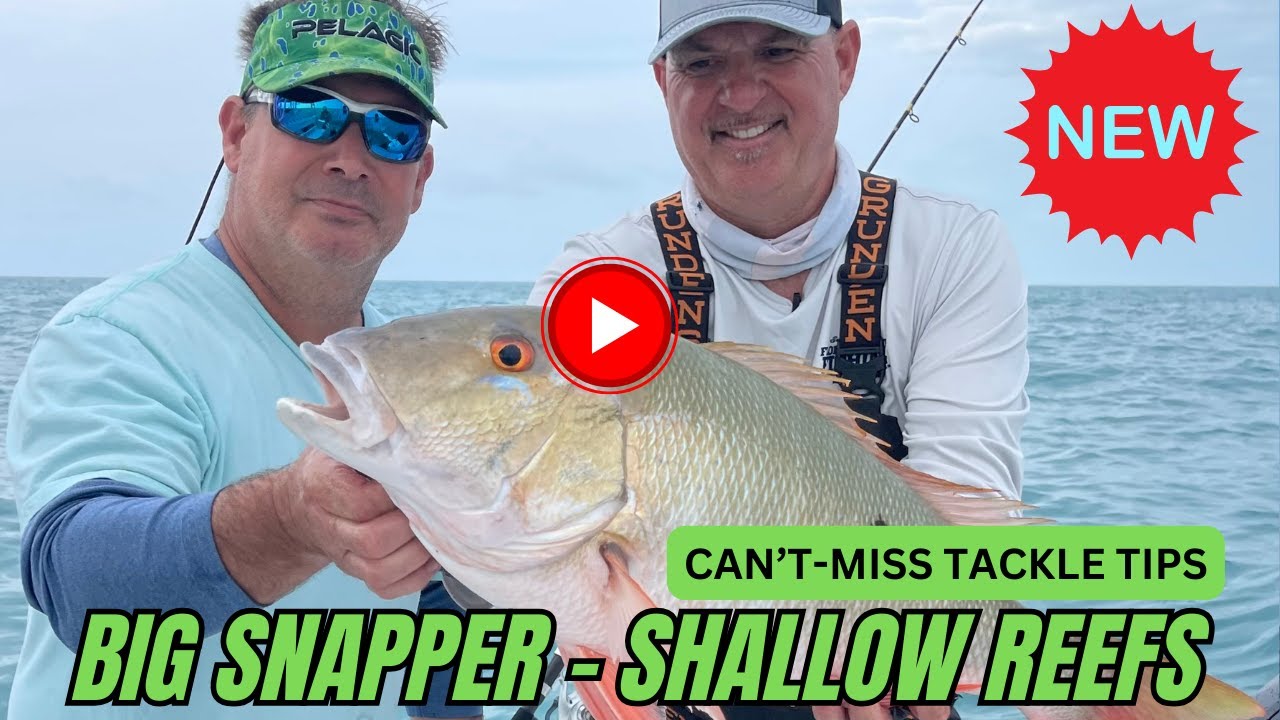Big Snapper Shallow Water I Patch Reef Rigging Tips I Free Video I ...
