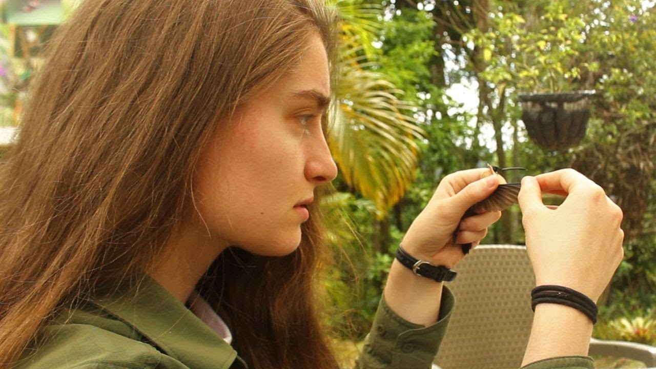 Meet our 2024 SES Explorer Alyssa Sargent - YouTube