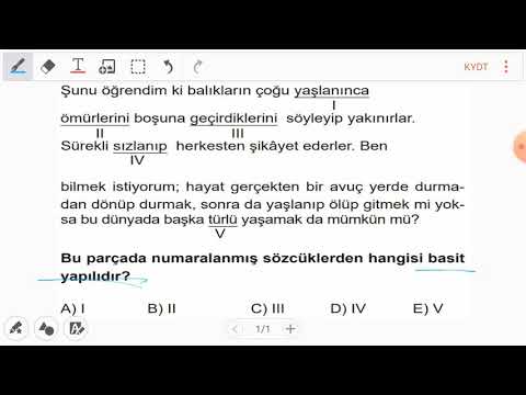 Test 93/ Soru 9 (Sözcükte Yapı/Karma soru çözümü - basit yapılı sözcük ne demek)