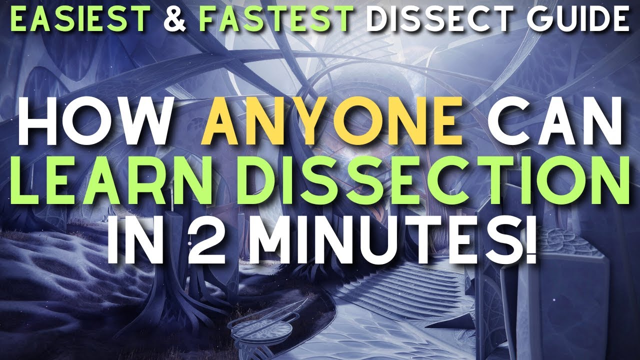 The EASIEST Dissect Guide You've Seen GUARANTEED! - YouTube