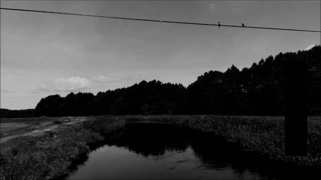 Kryptic Minds & Youngsta - Surge - YouTube