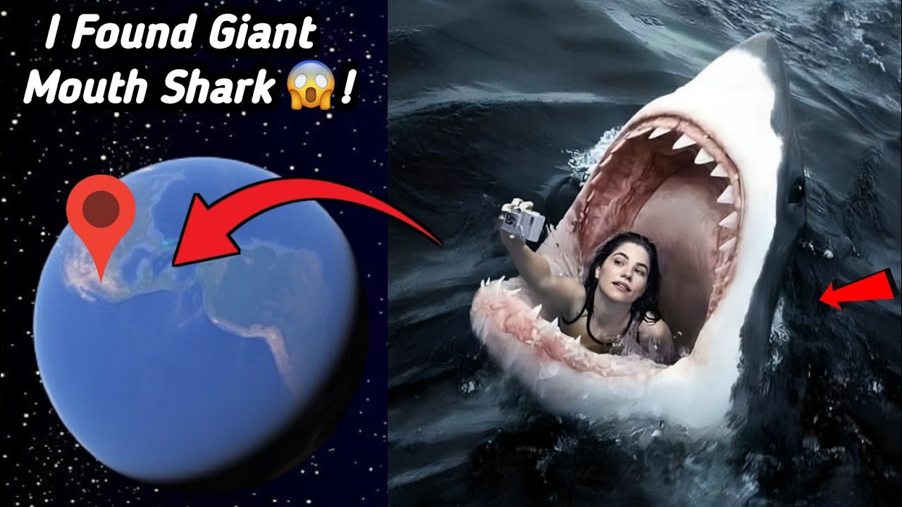 😱 I Found Giant Mouth Shark In The Sea On Google Earth and Google Maps ...