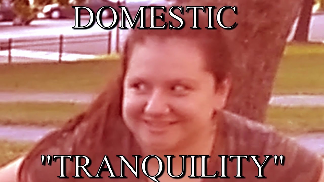 Constitution's preamble..... But memes! - YouTube