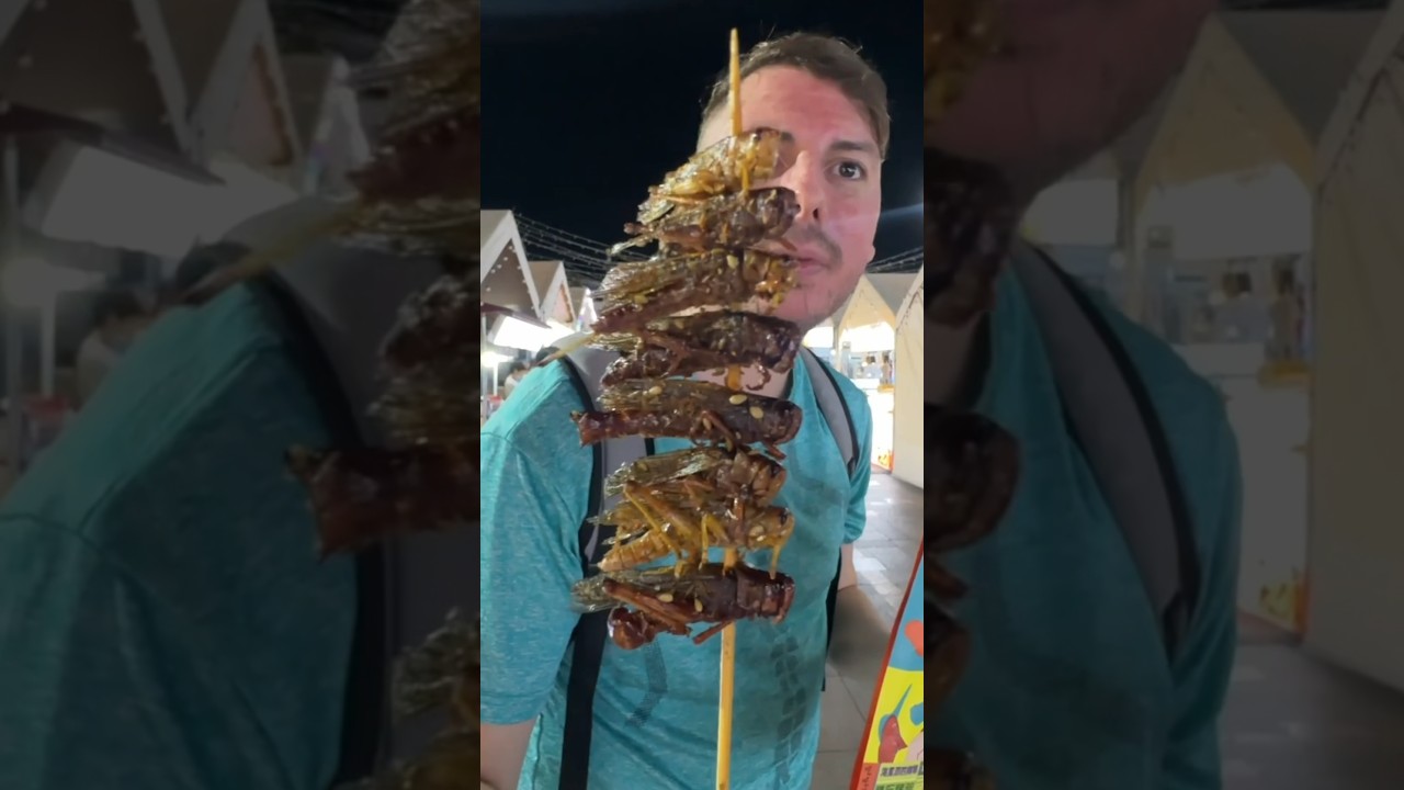 Eating bugs and insects in China - YouTube