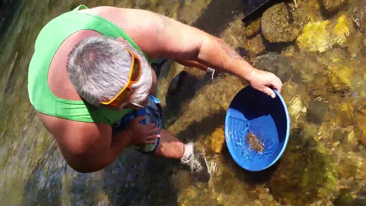 Tennessee Gold # 13 Family Gold outing - YouTube