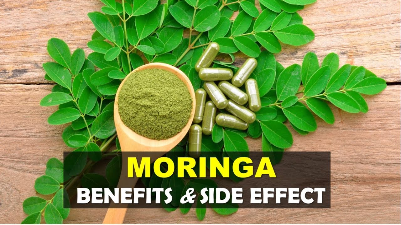 Moringa Benefits for Men, Women, Skin, Hair, Arthritis and Side Effects ...