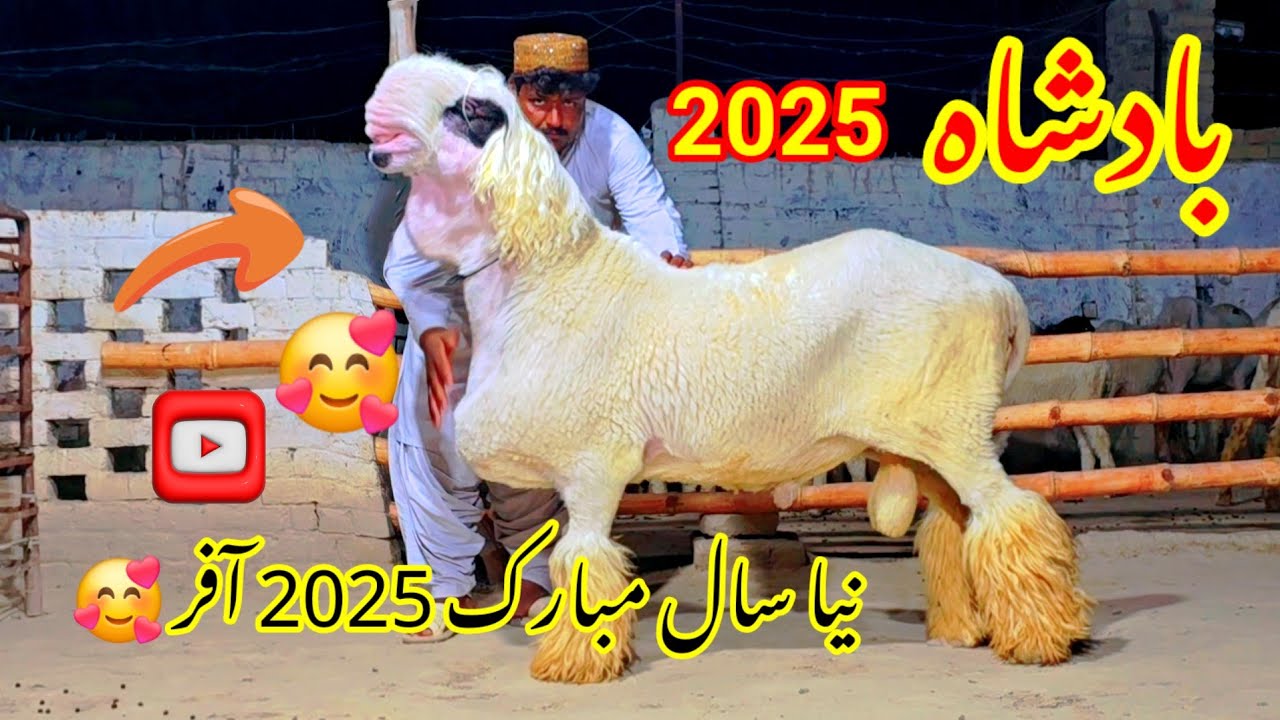 World Record janwar 2025 ki kimat 03295400015 - YouTube