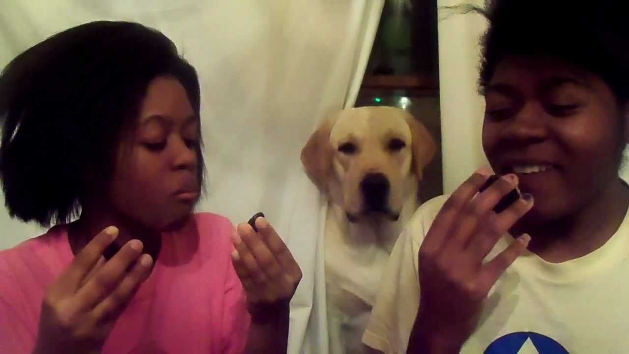 Oreo Licking Race/Contest. Cookie or Cream - YouTube