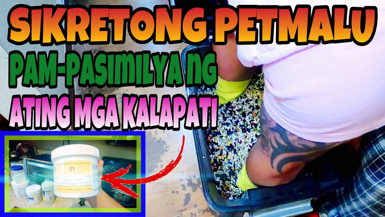 SIKRETONG PANG SIMILYA SA MGA KALAPATI NATIN.!!! PAANO 😱😱😱 - YouTube