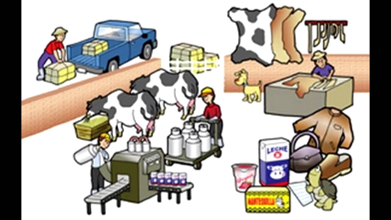 Modelo ISI Chile - YouTube