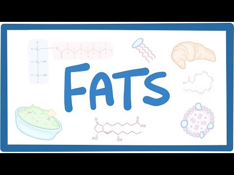 What Is The Scientific Name For A Fat Molecule