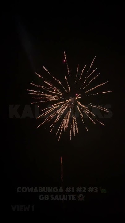 Cowabunga 1-3 GB Salute Lil sesh my lil pyros 👻🔥🤙🏾 #kava #fireworks #shorts #explore #pyros #fyp ...
