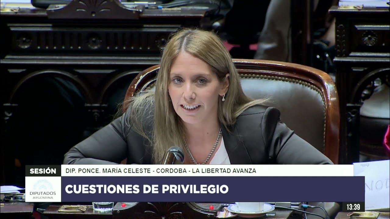 Diputada Ponce, María Celeste - LLA - Continuación de Sesión - 01-02-2024 - CP - YouTube