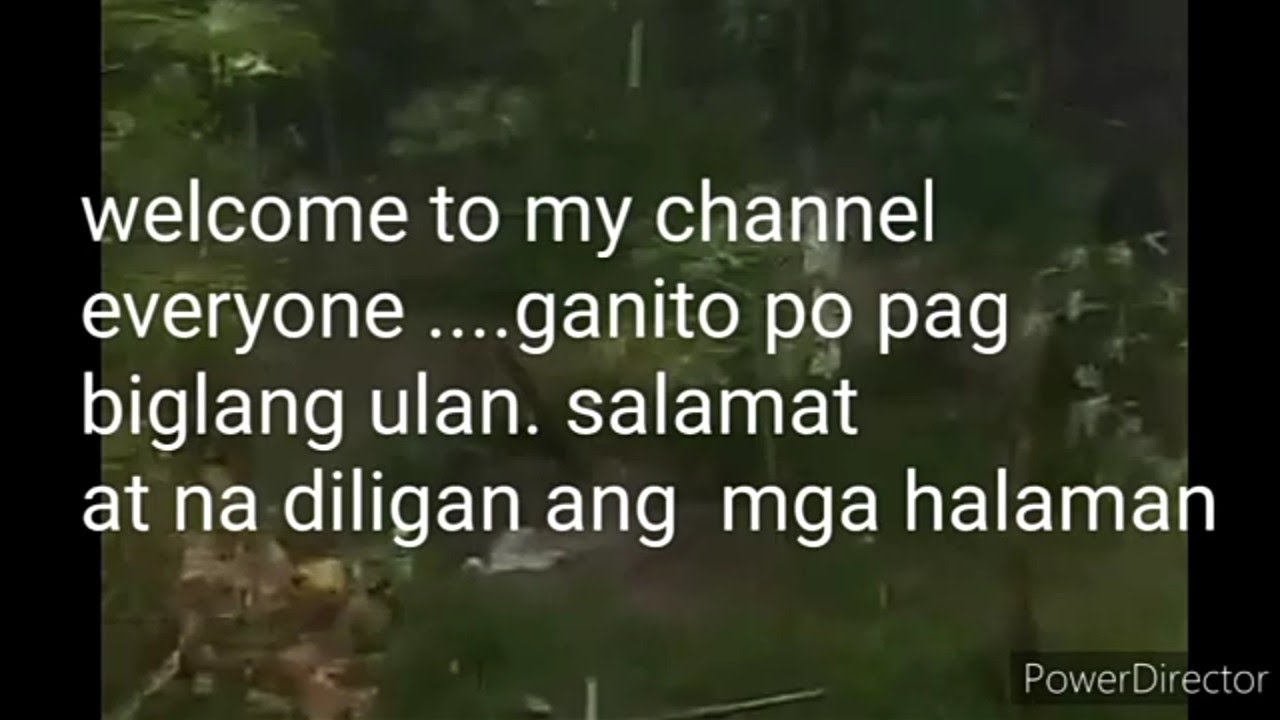 Malakas ang ulan @ shorts video @ Libot Tutorials - YouTube