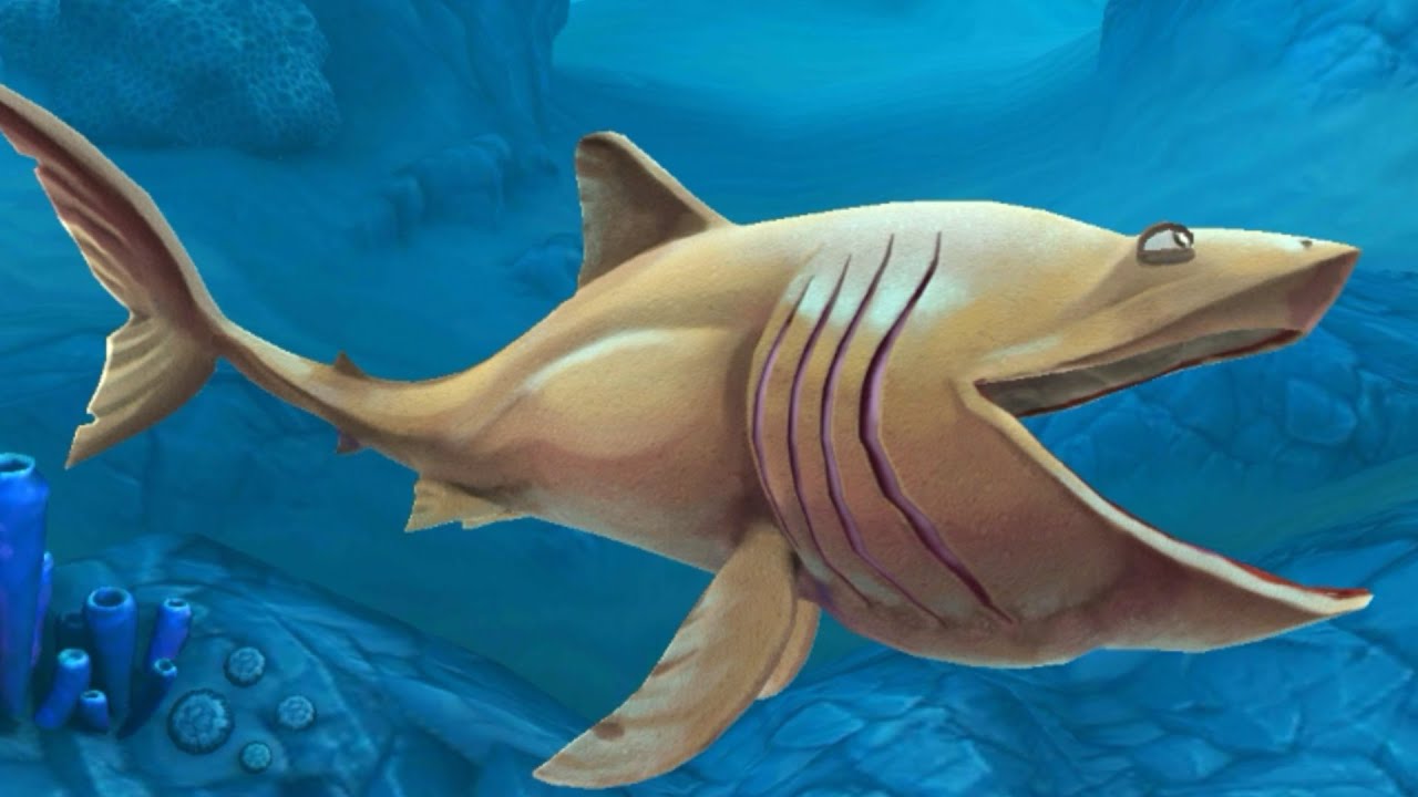 Hungry Shark World Gameplay - Basking Shark - YouTube