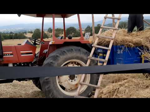 Yıllar öncesinden bir an/ Kameralara yakalanmışım 😄 #harman #patoz #vezirköprü  #newholland6556