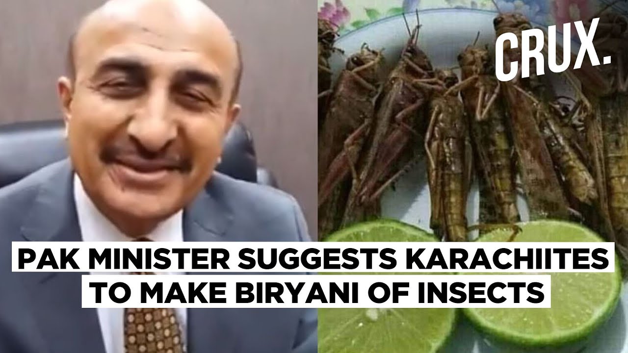 Pakistan Minister Cooks Up Bizarre Method to Deal with Insect ...