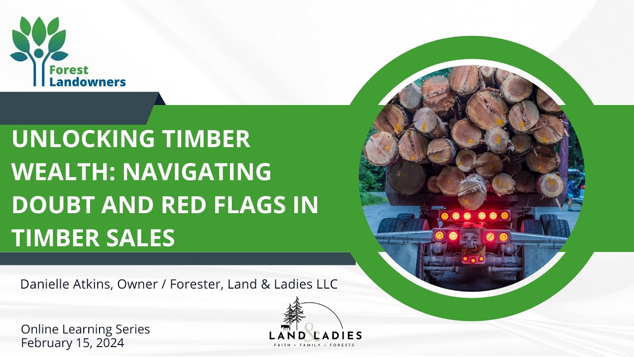 Unlocking Timber Wealth Navigating Doubt and Red Flags in Timber Sales ...