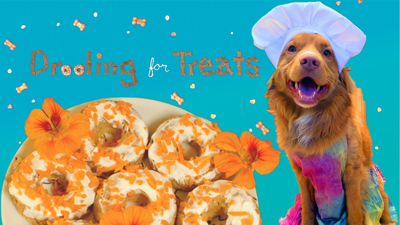 Drooling For Treats, Peanut Butter Donuts - YouTube