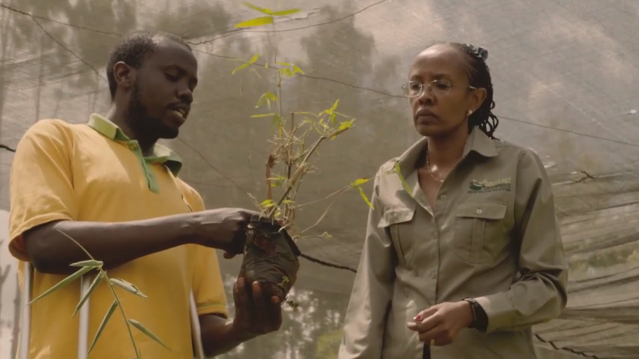 The Land Accelerator: Empowering Restoration Entrepreneurs - YouTube