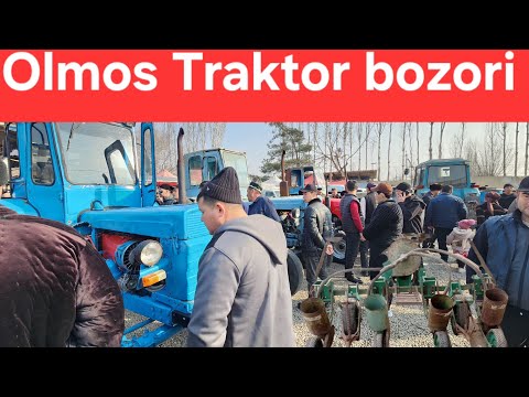 Traktorlar texnikalar bozori Olmosda T 28 Mtz 80 mini tractor #diy #automobile #rek Selka