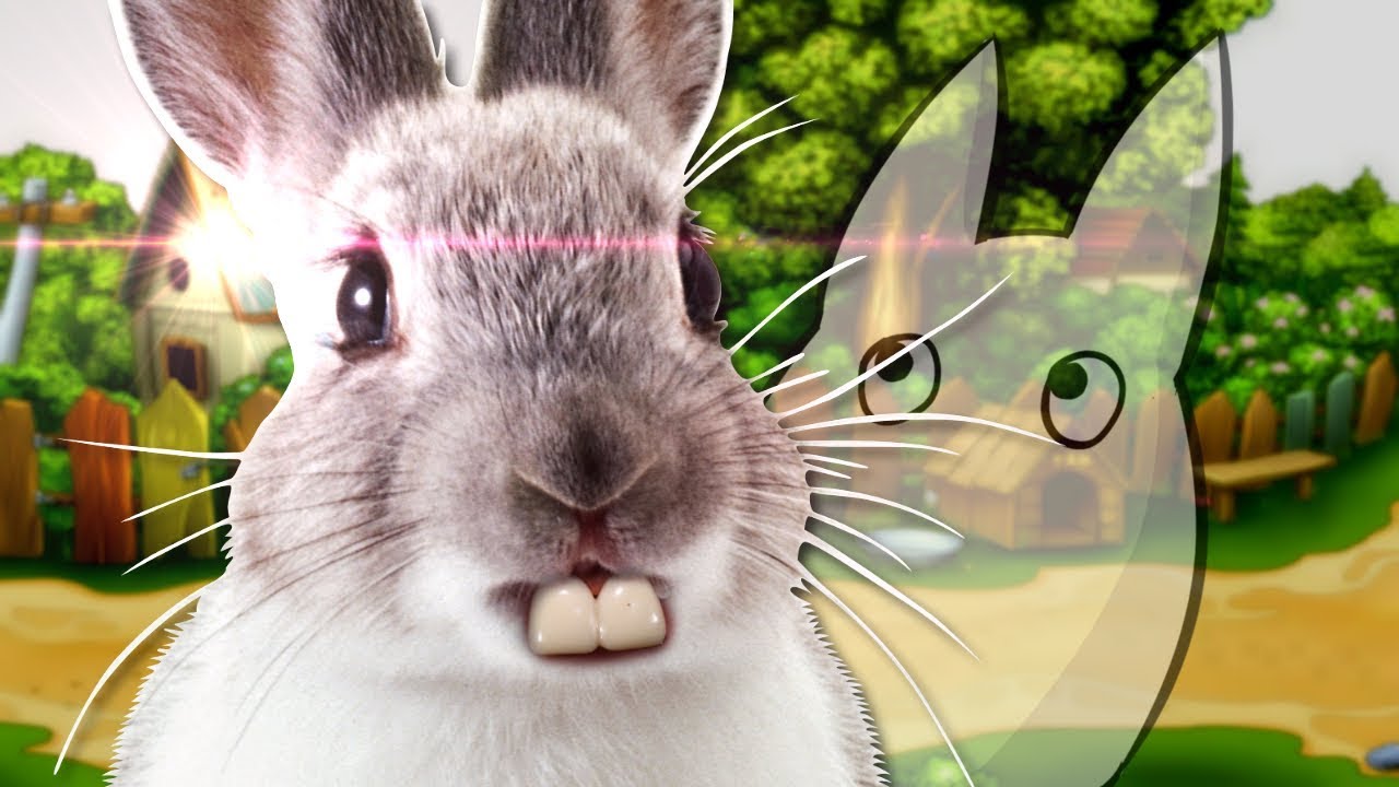 A "FUN" FILLED ADVENTURE | Harry the Rabbit - YouTube