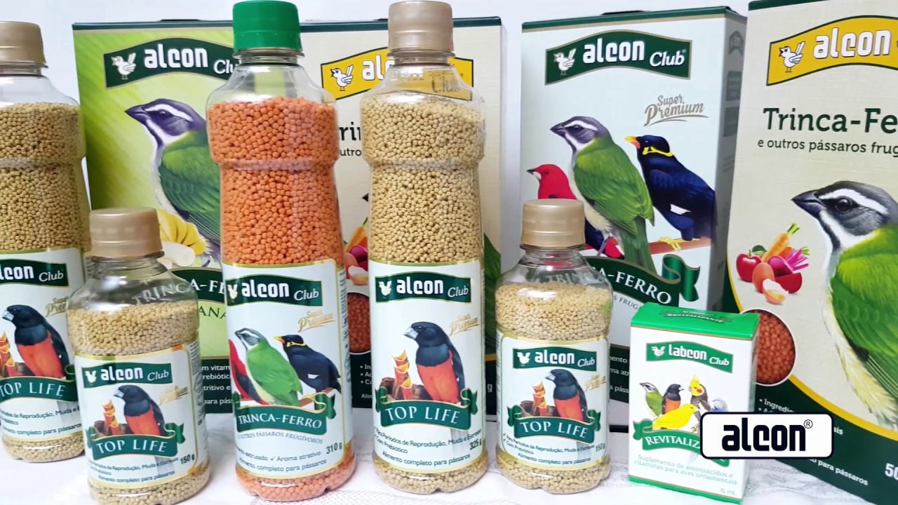 Alcon Premium Winner! - YouTube