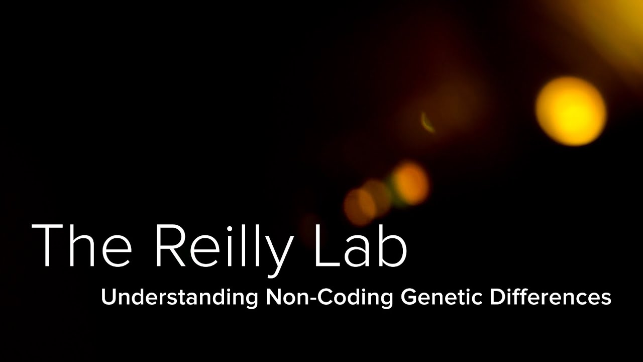 Non-Coding Genomes, Mutations, and Machine Learning - The Reilly Lab at Yale School of Medicine ...