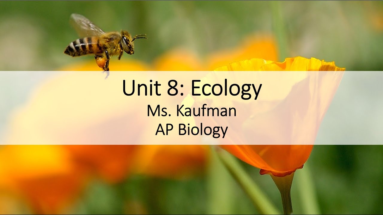 AP Biology Unit 8 Video 1: Responses & Energy Flow - YouTube