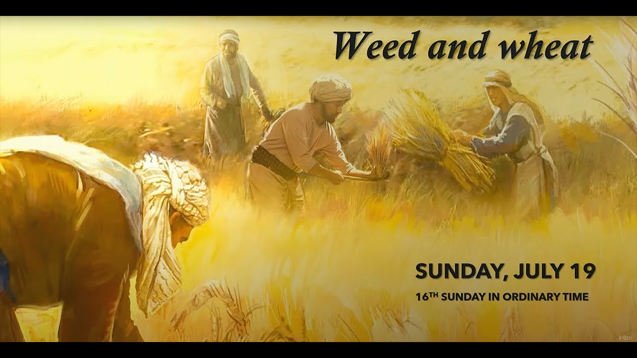 16th Sunday in Ordinary Time - YouTube