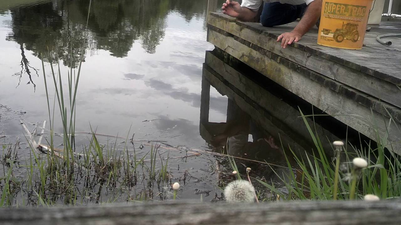 Catching Bass With My Thumb - YouTube