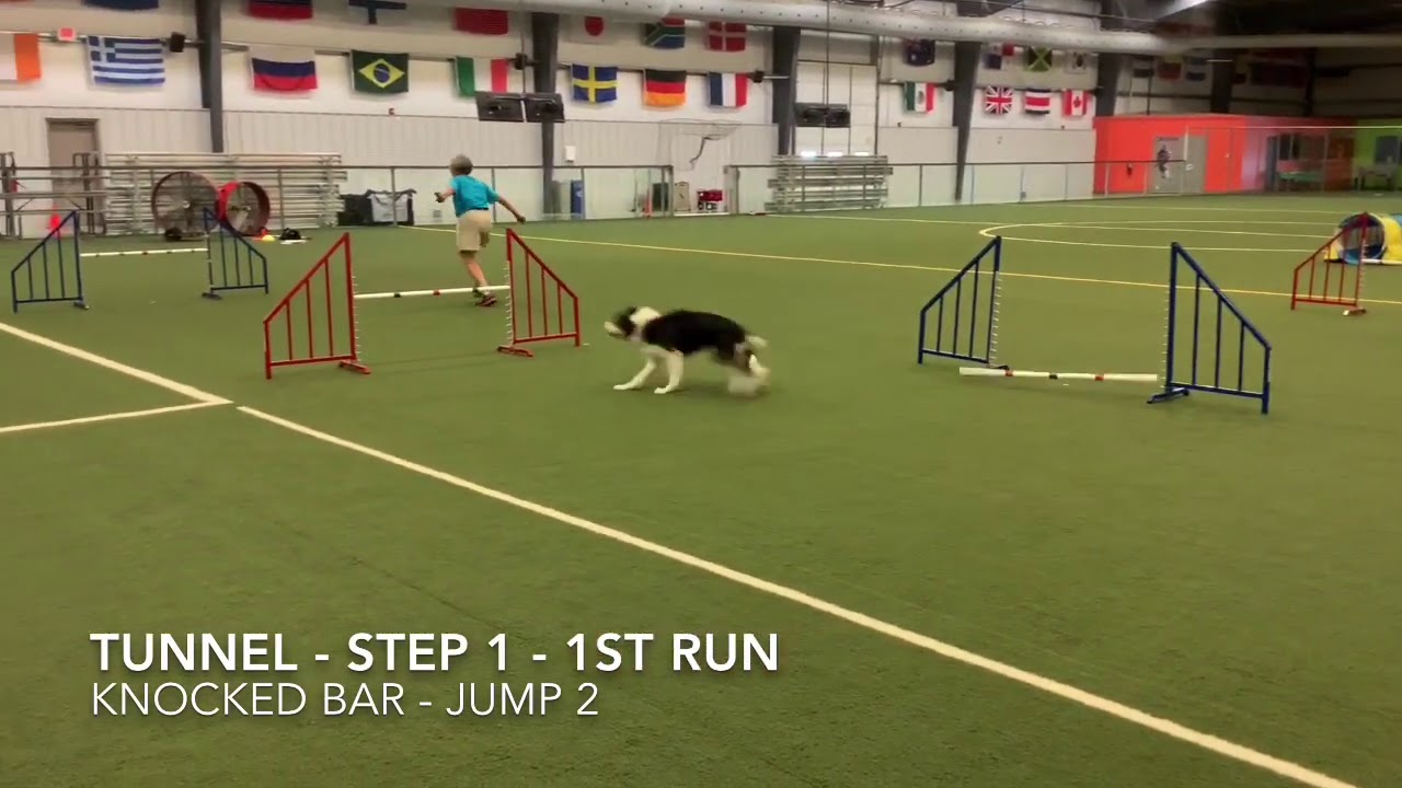 Teddy - Extension Drill 9 - YouTube